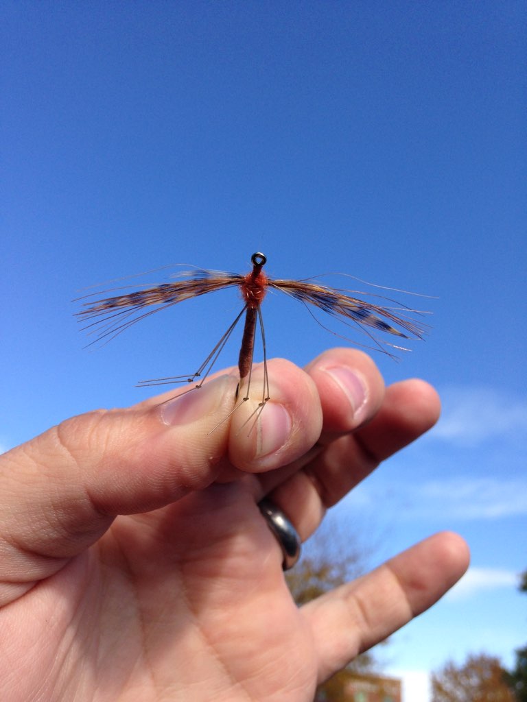Crane Fly Pattern – westslope-trout.org