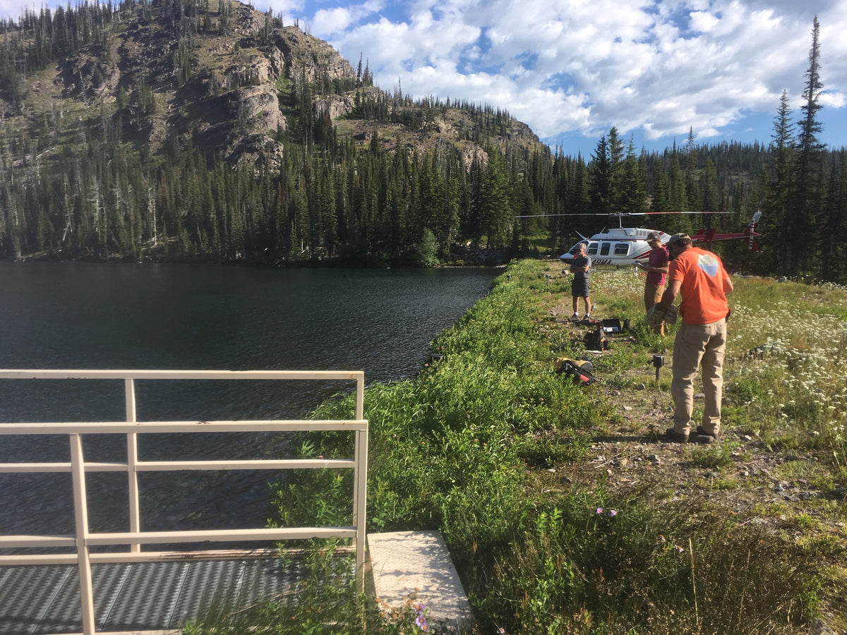 Rattlesnake Wilderness Dams – westslope-trout.org